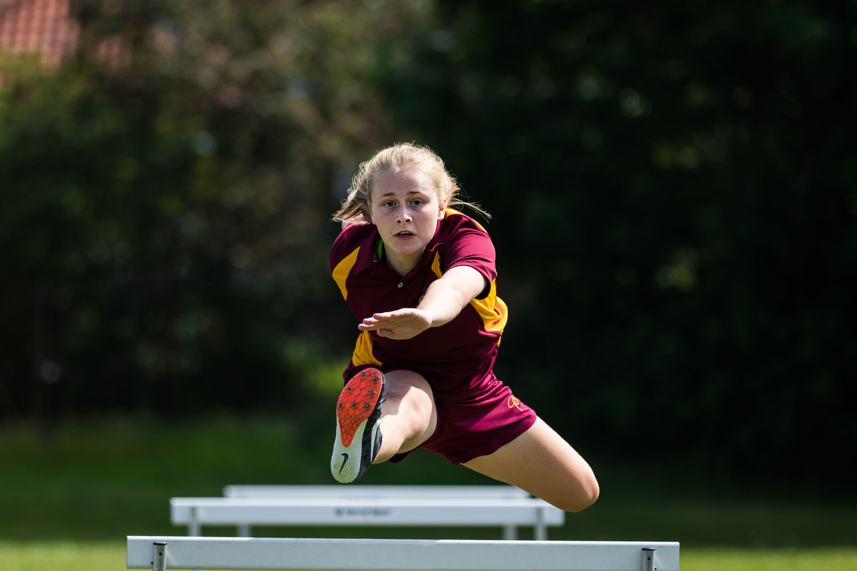 Exams - Orleans Park